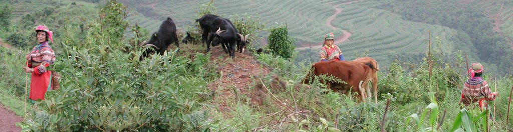 Delphi Organic Slider 3 _Home_ - Delphi Organic