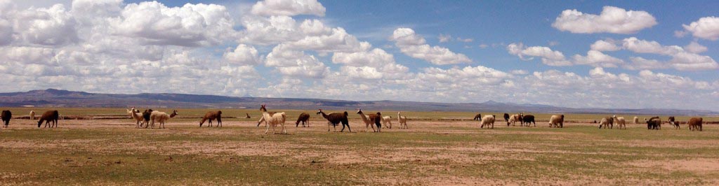 Delphi Organic Slider 5 _Home_ - Delphi Organic