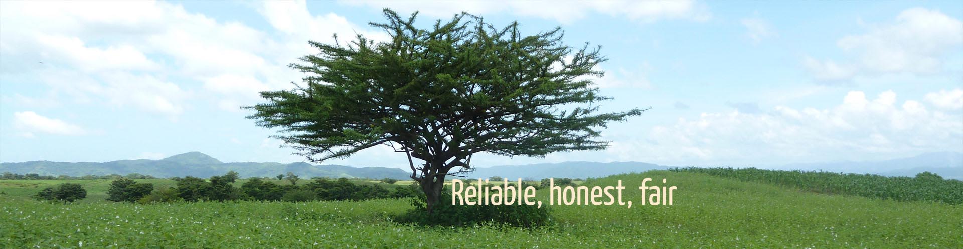 Delphi Organic Organic raw materials & oganic products - Delphi Organic