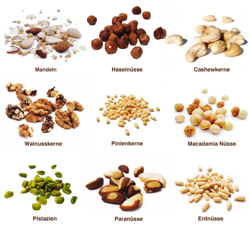 Delphi Organic sortimentsuebersicht-kerne - Delphi Organic